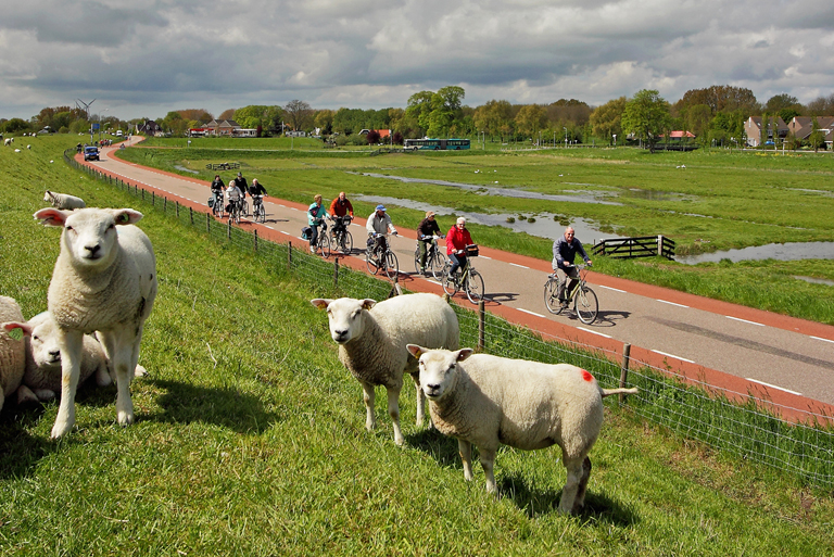Discovery Tour By Bicycle Through North Holland | Dutch-Biketours